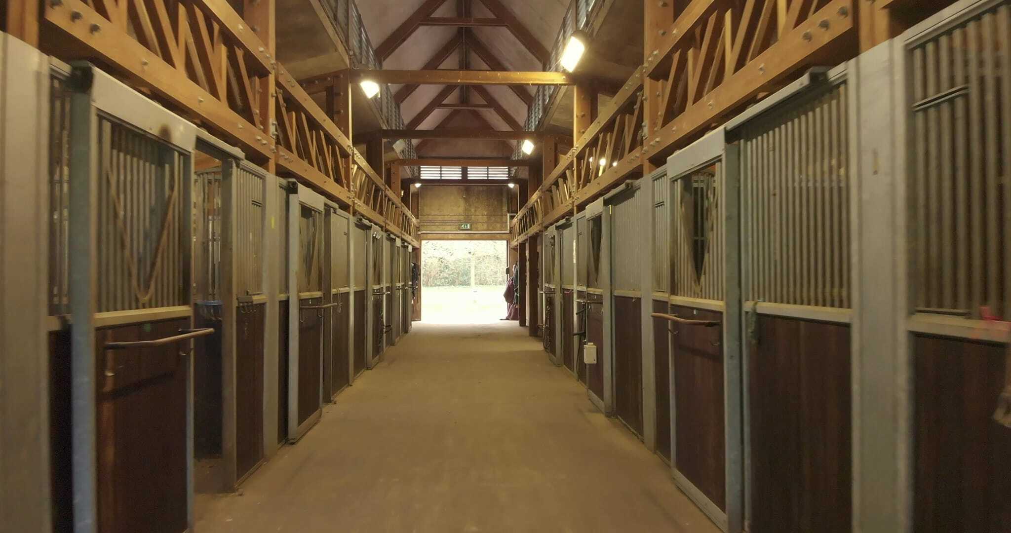 10 Livery Yards in & Around London: 2025 Guide