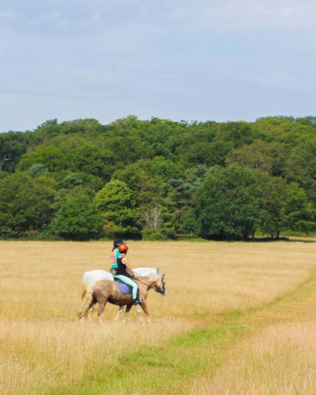 7 Horse-Riding Day Trips Near London