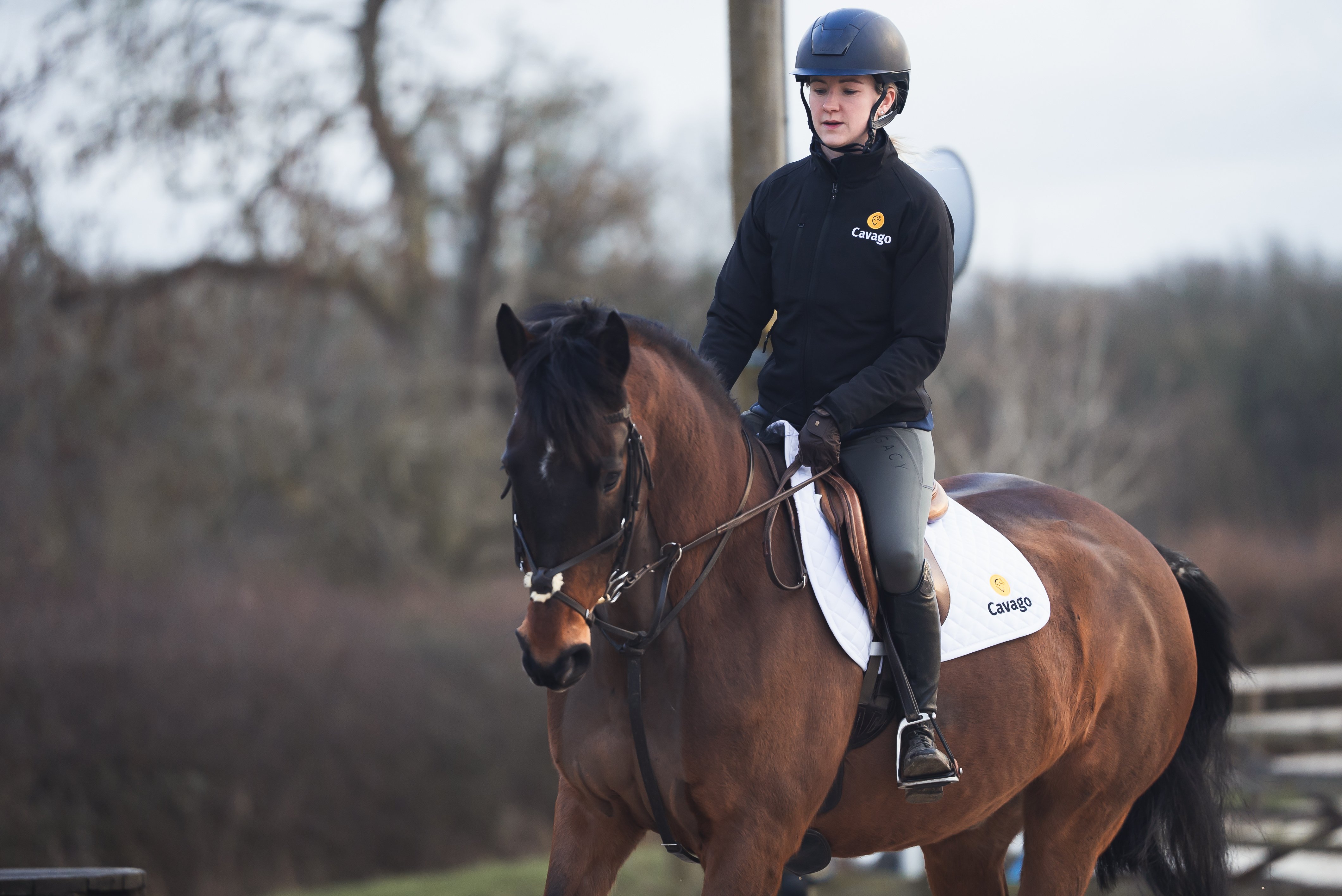10 Alternative Revenue Streams for Your Equestrian Business You Haven’t ...