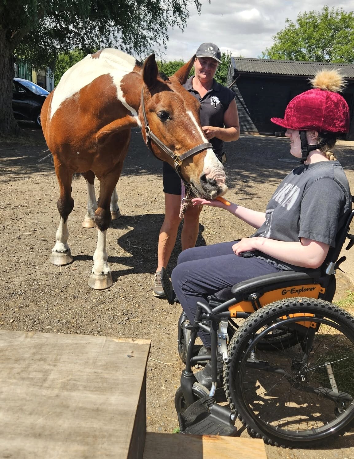 Top 7 Riding schools in Cambridgeshire, East England