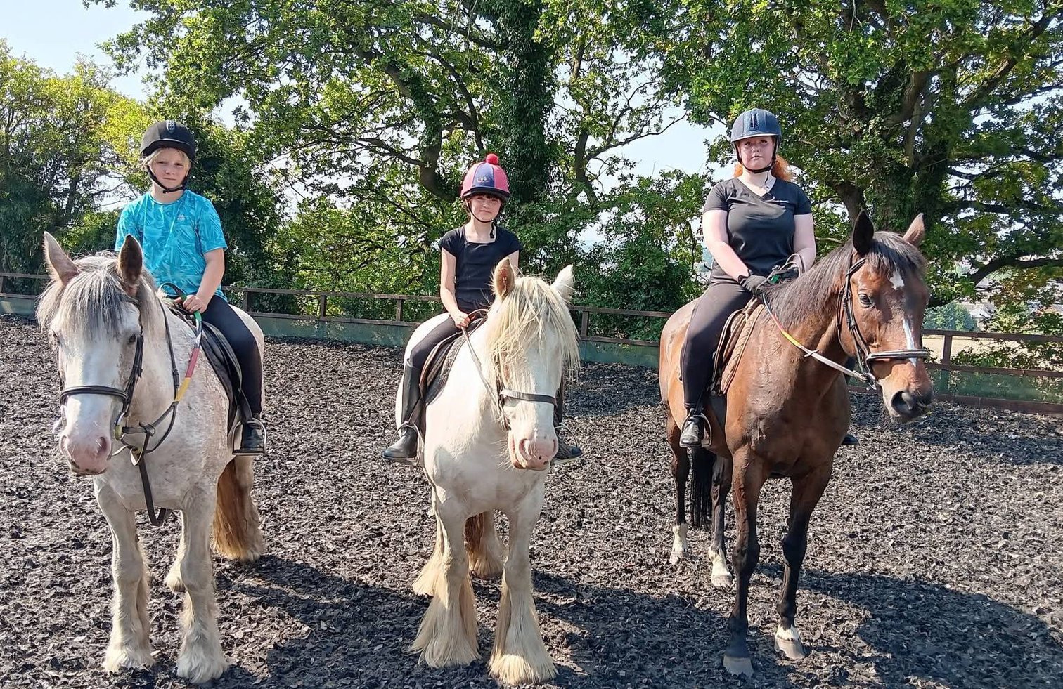 Top 7 Riding schools in Durham, North England