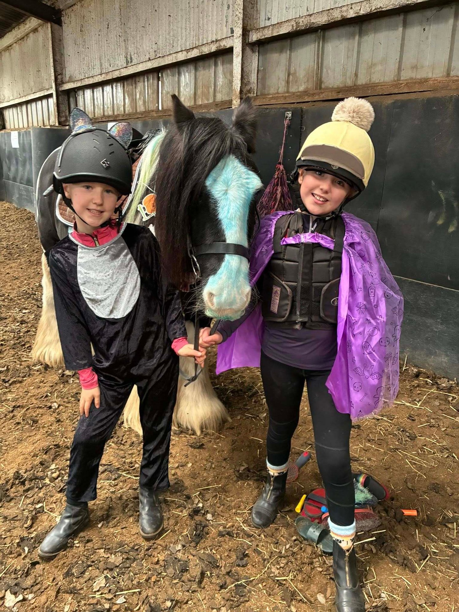 Top 7 Riding Schools in Tyne & Wear, North England