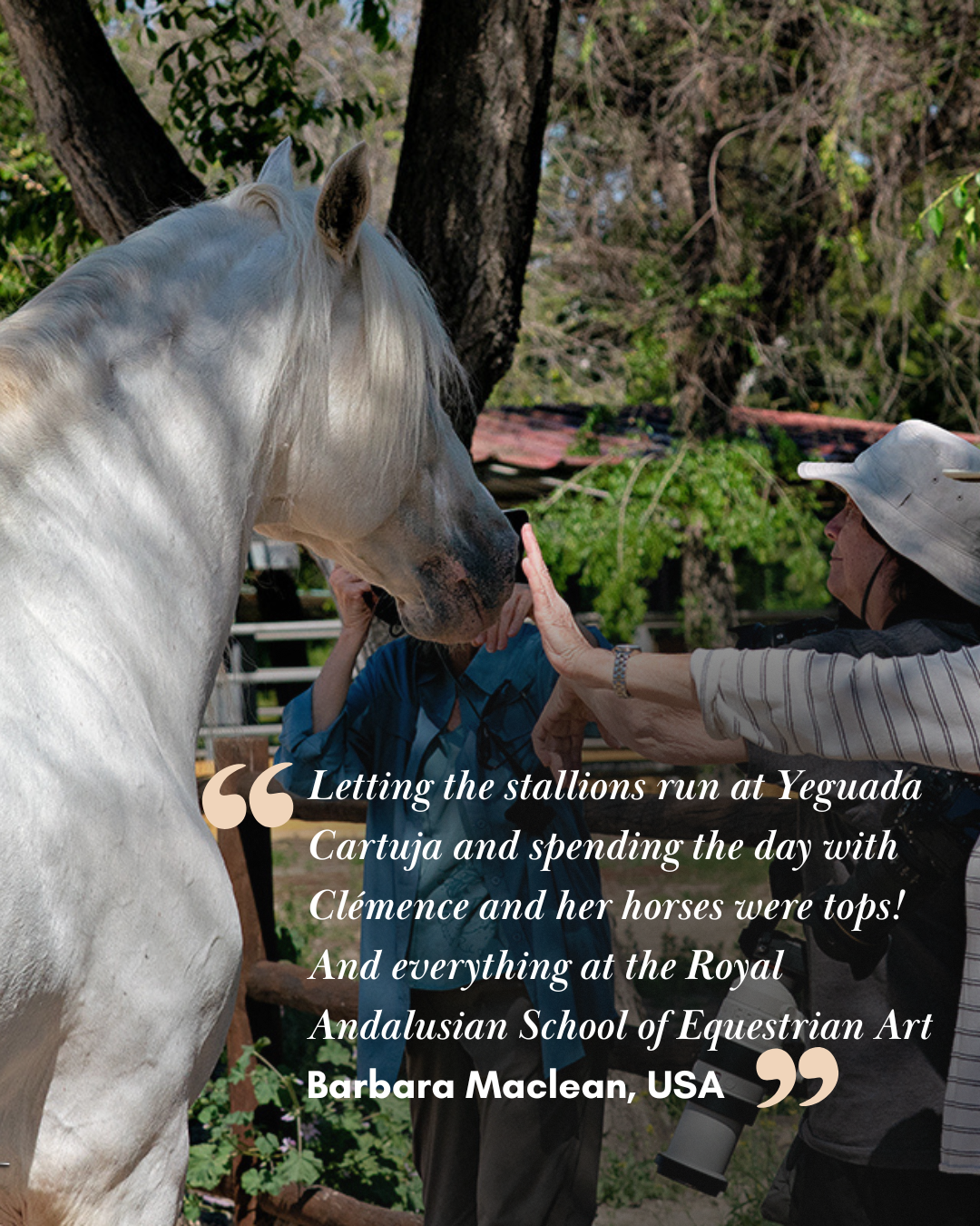 Beyond the Lens: Why Choose Cavago and Scott Trees for Your Equine ...