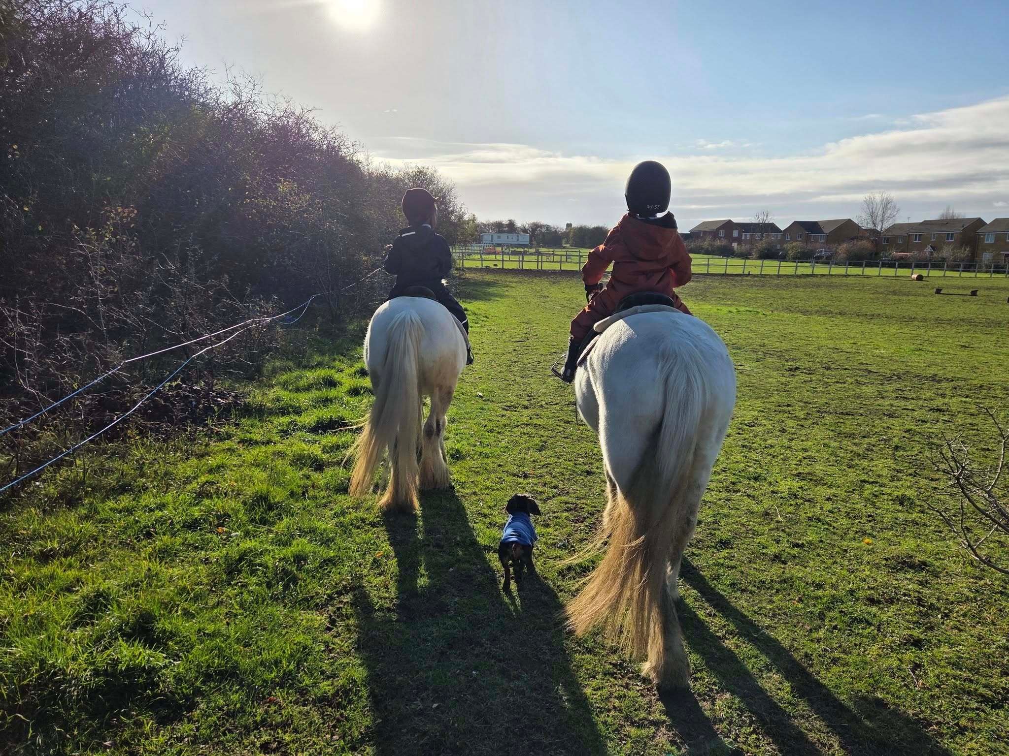 Top 7 Riding schools in Hertfordshire East England