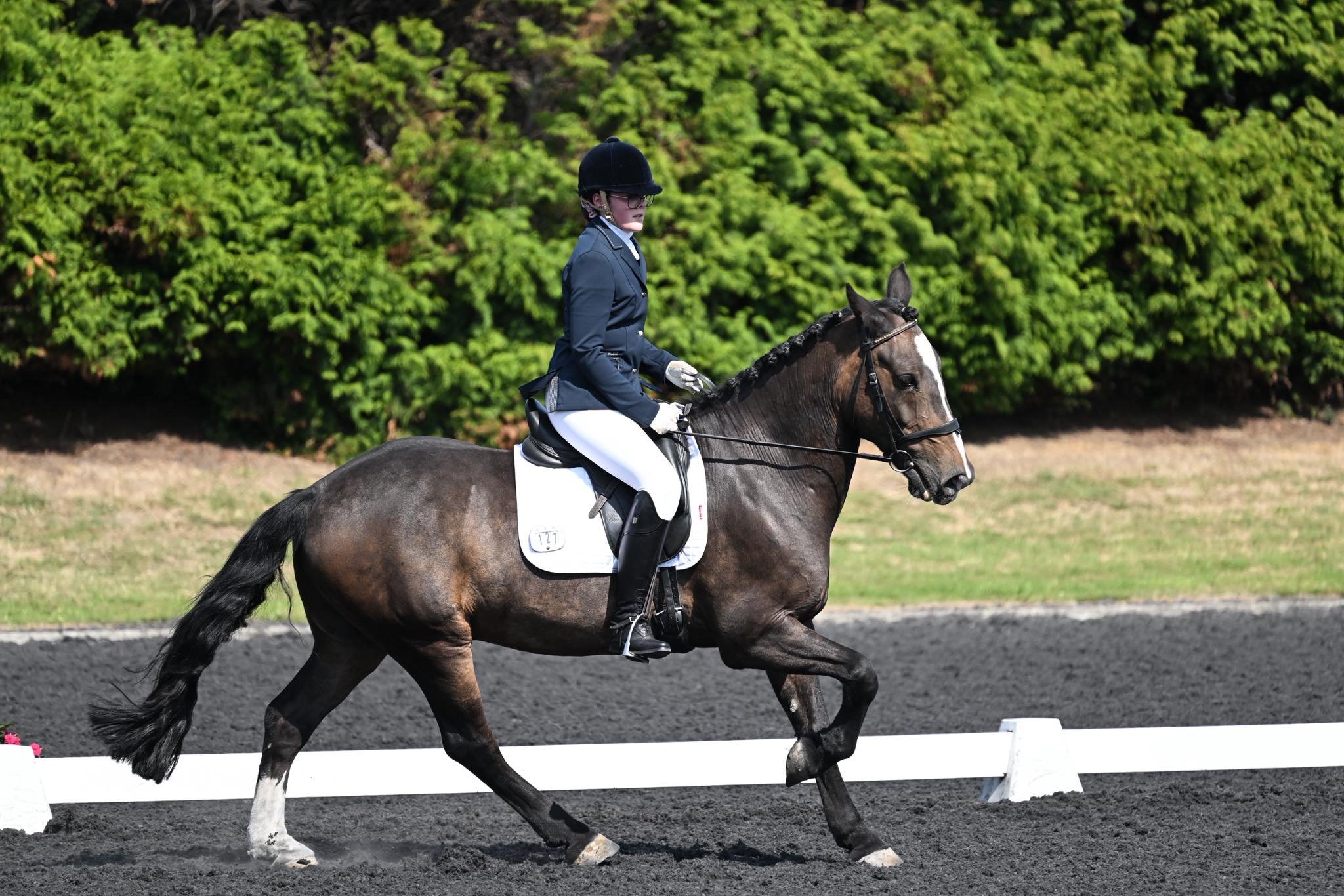 Top 7 Riding schools in Cambridgeshire, East England