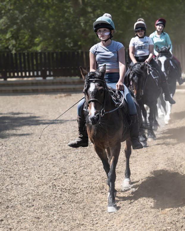 Top 6 Riding Schools in East Yorkshire, North England