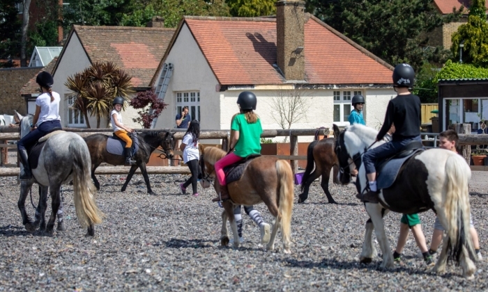 10 Best Riding Schools in London for Beginners (2025 Guide)