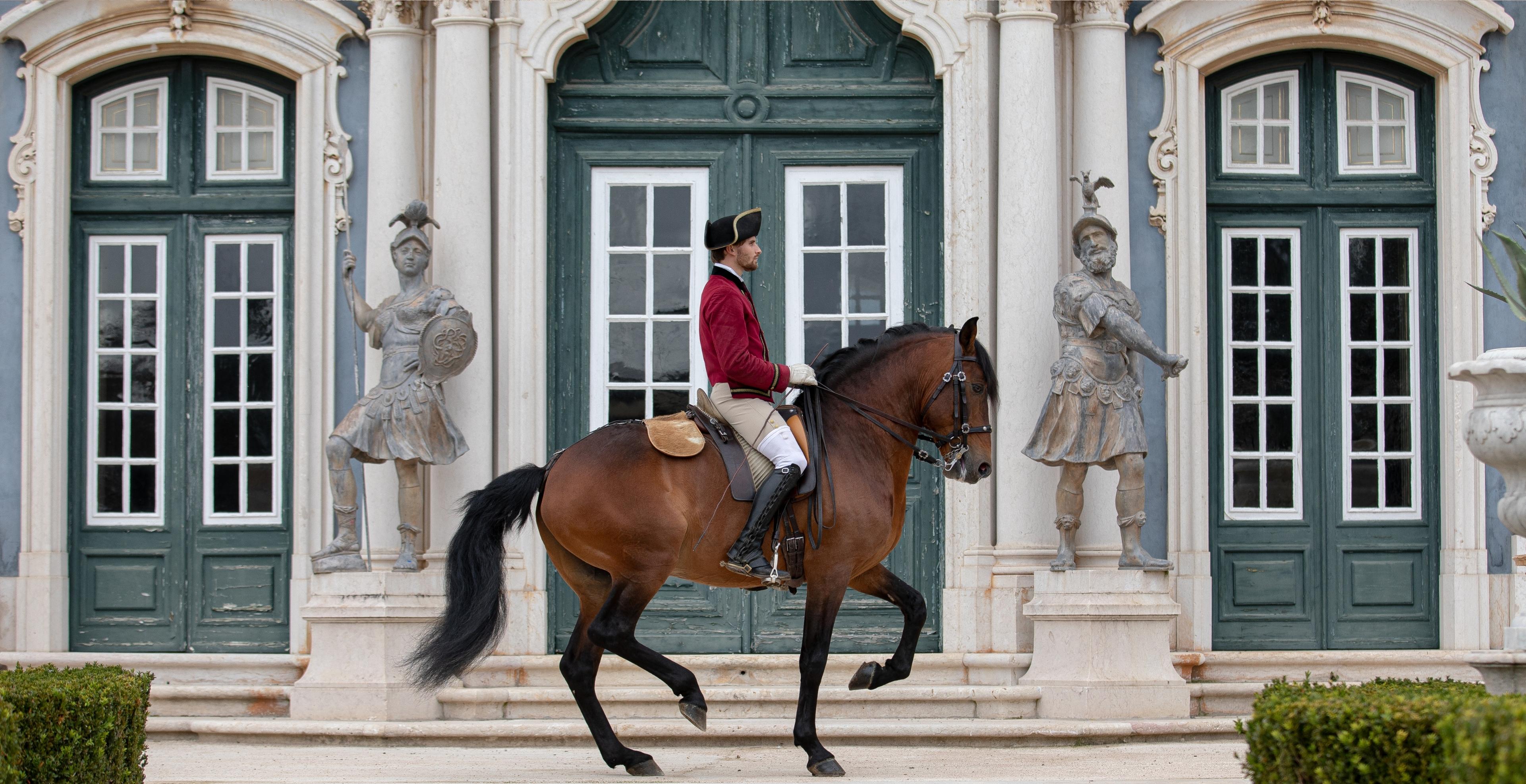 The "Big Four": Europe's Most Prestigious Classical Riding Academies