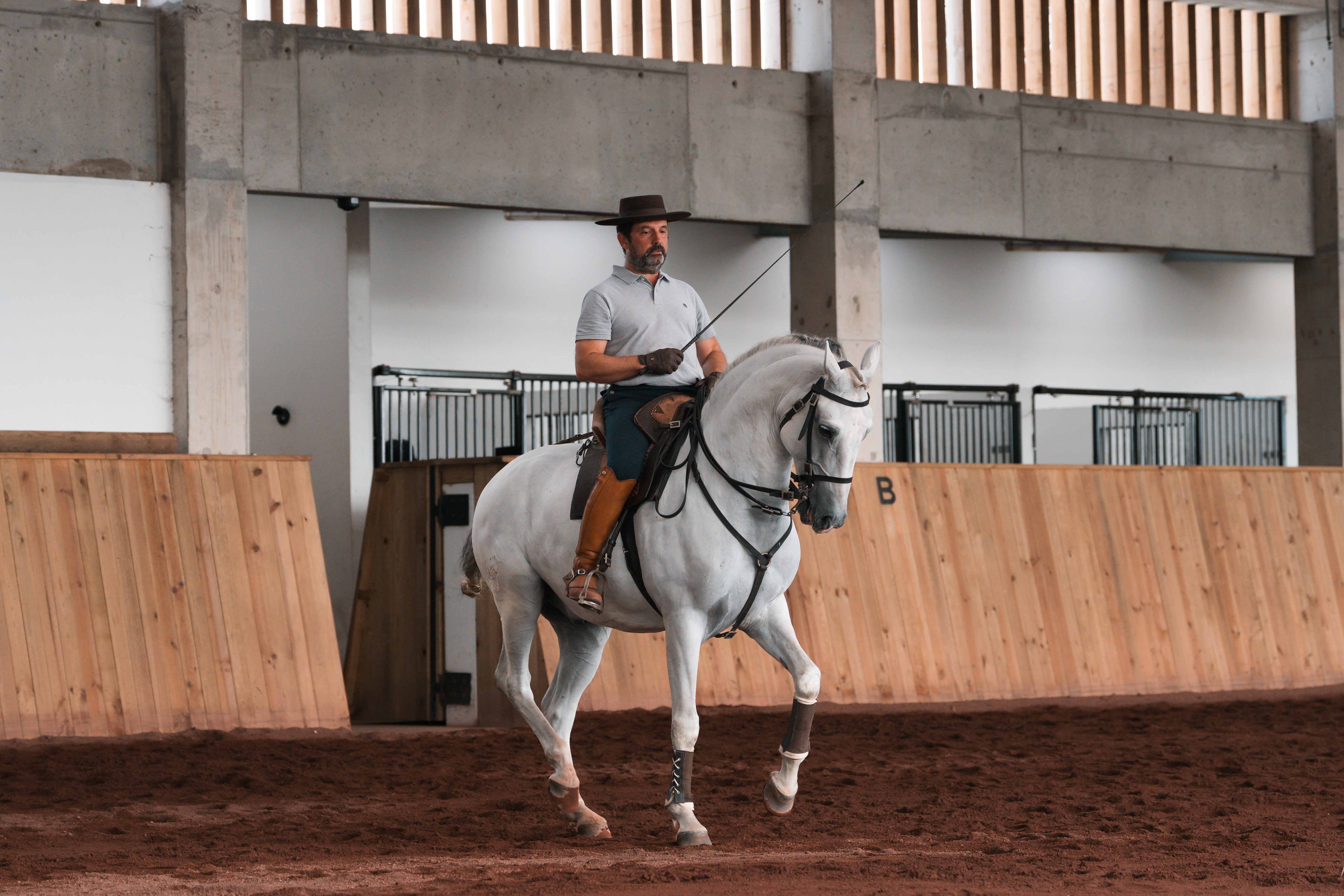 Lusitano Garden Villa: Inside Canto Tavares Stud with João Gomez