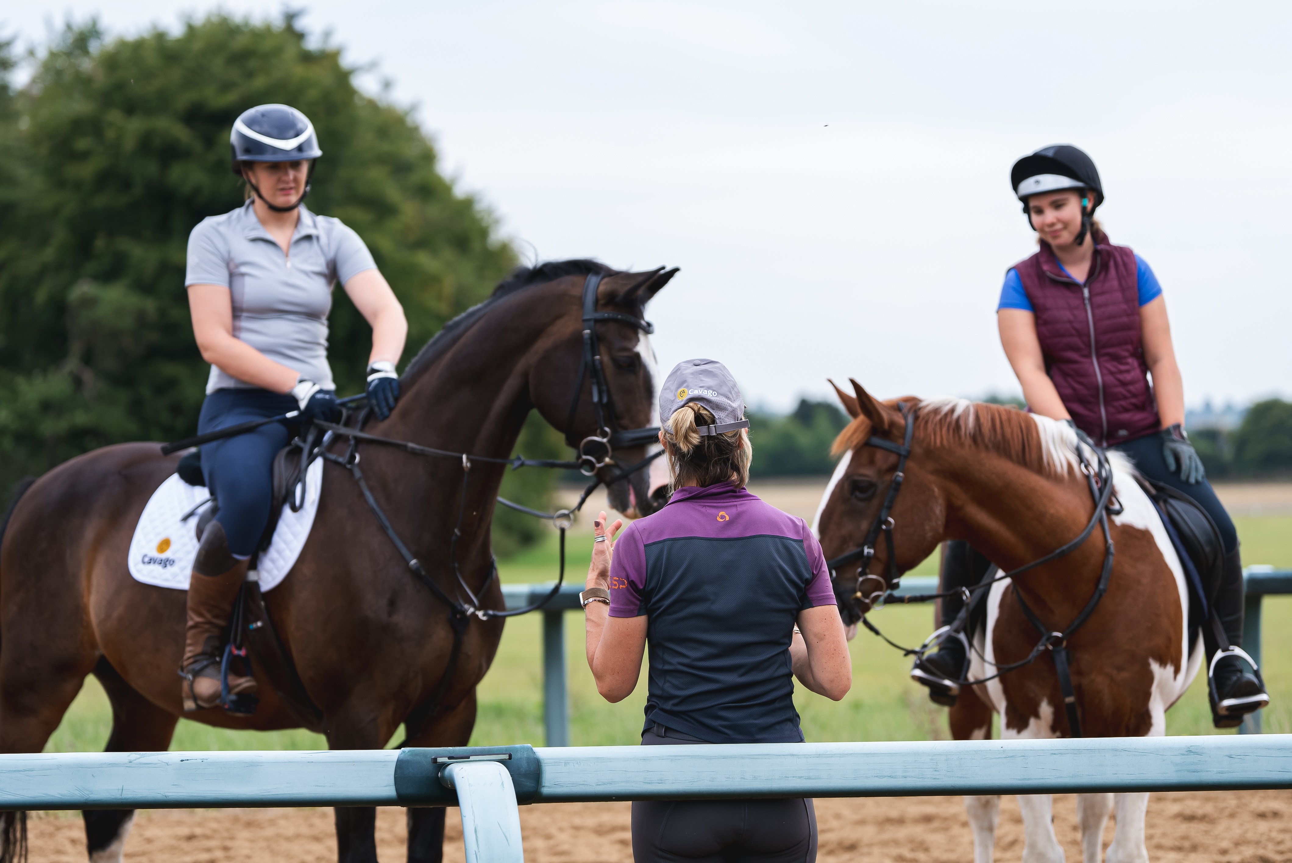 10 Alternative Revenue Streams for Your Equestrian Business You Haven’t ...