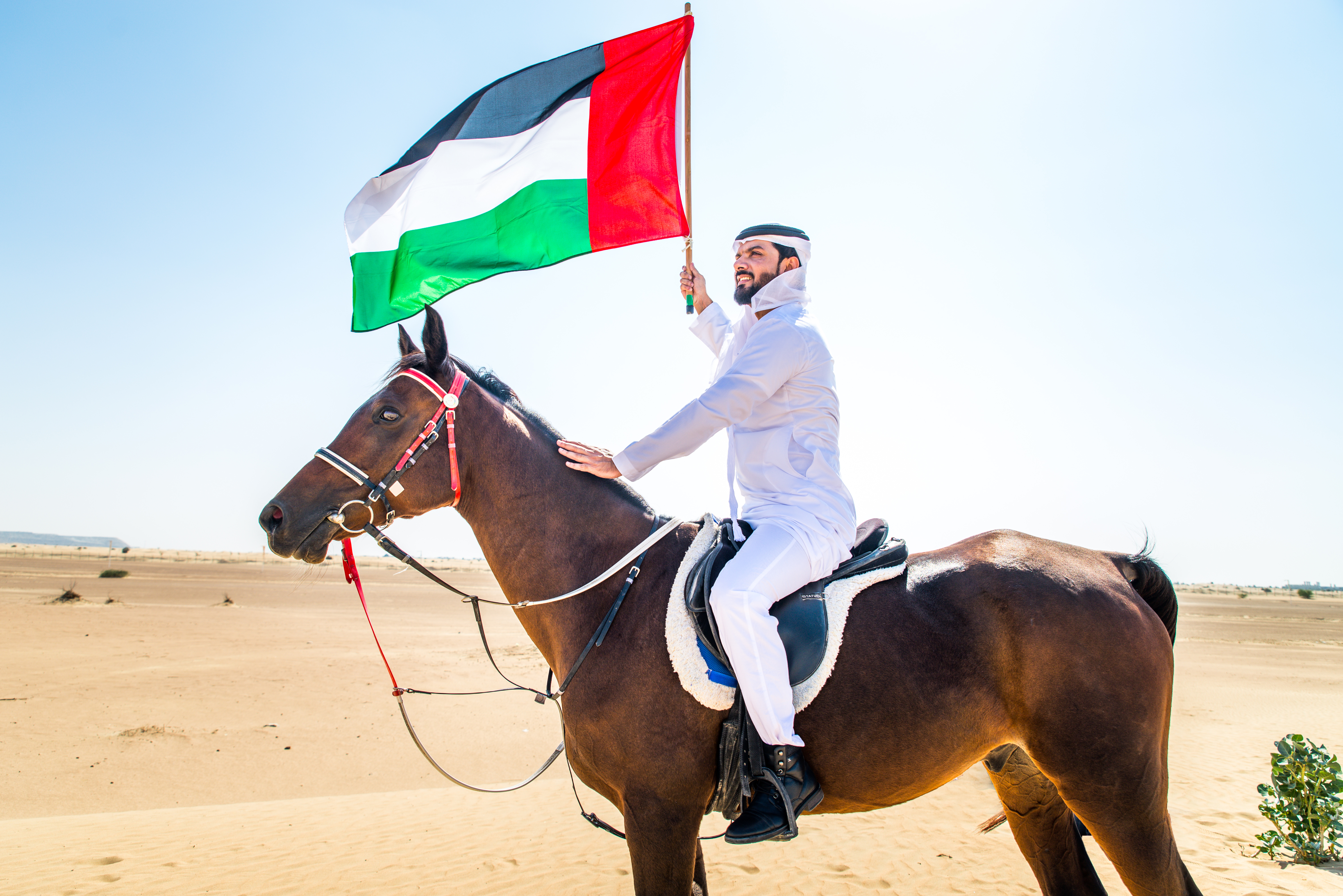 Al Jiyad Stables : Experience the Arabian Desert on Horseback